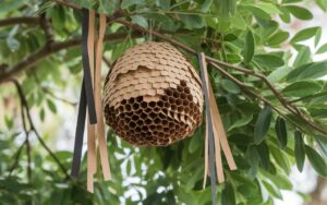 DIY Fake Wasp Nest: A Natural Way to Keep Wasps Away - WillyHomes