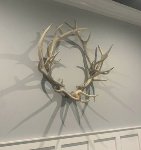 Creative Ways to Display Deer Mounts in Your Home - WillyHomes