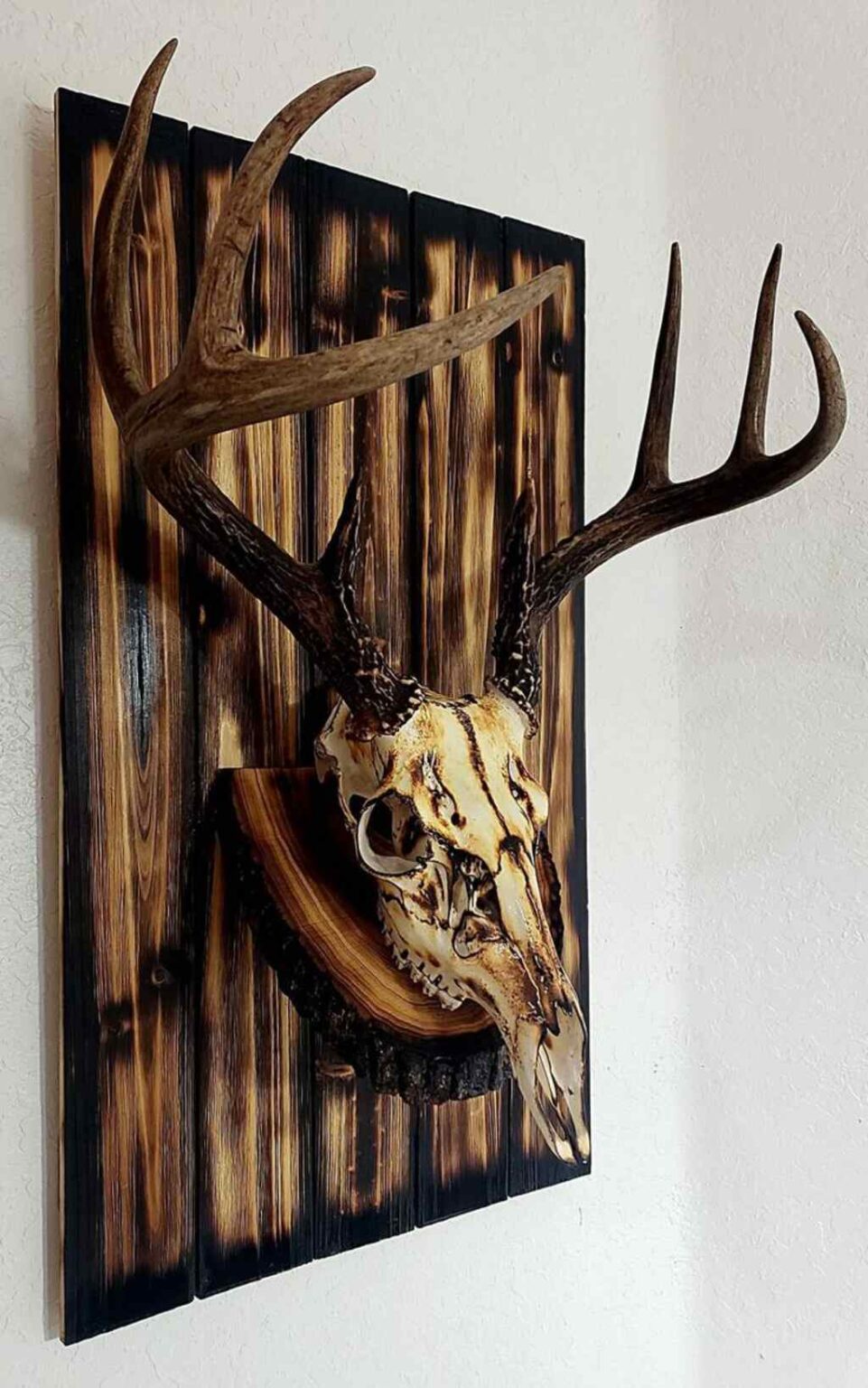 Creative Ways to Display Deer Mounts in Your Home - WillyHomes