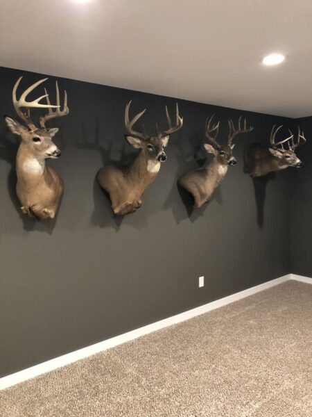 Creative Ways to Display Deer Mounts in Your Home - WillyHomes